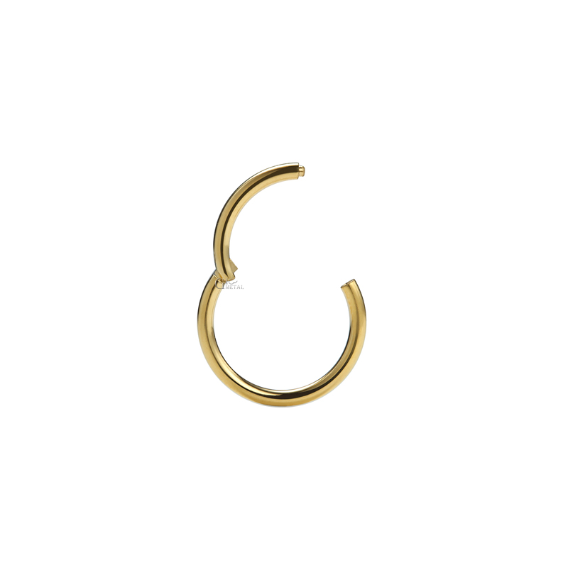 14Kt Solid Gold Hinged Segment Ring – Giometal Body Jewelry